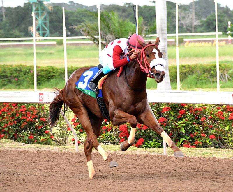 Hardcore trio could ignite Thornbird Stakes - Jamaica Observer