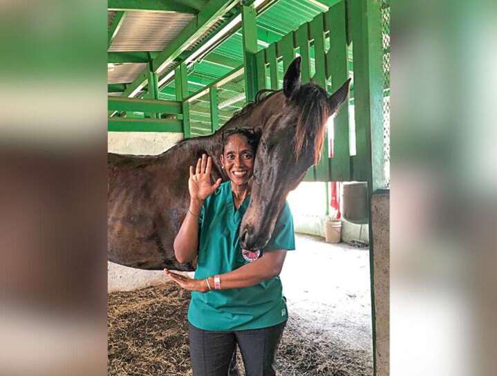 Ramlal dismisses claims of cruelty in horse racing - Jamaica Observer