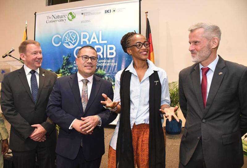 Coral reef cushion - Jamaica Observer