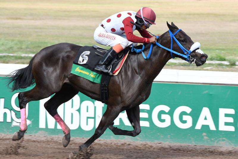 Eagle One, Madelyn's Sunshine for Henry W Jaghai Trophy - Jamaica Observer