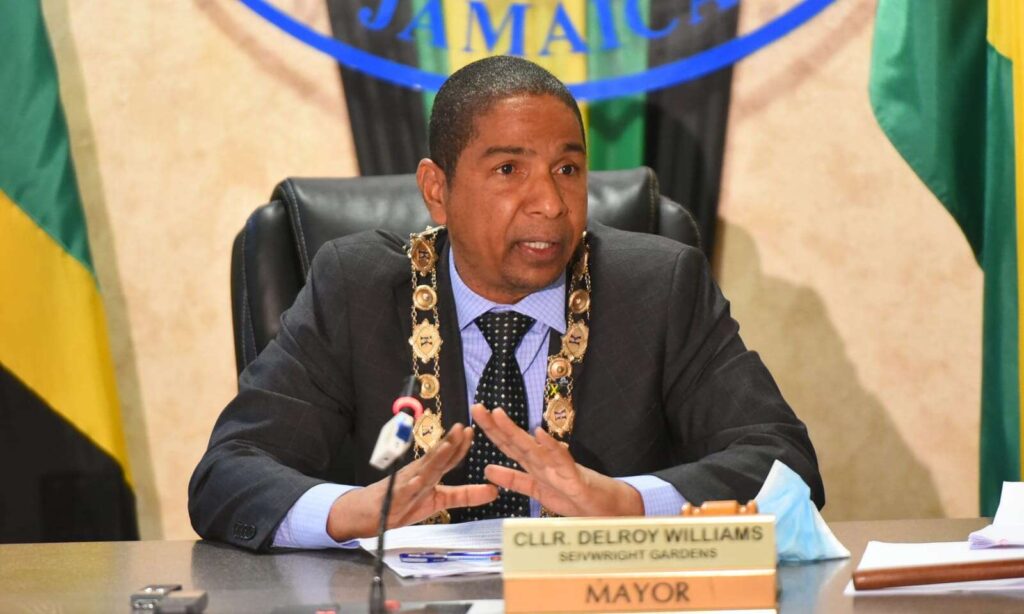 Kingston mayor supports St Catherine municipality mental health ...