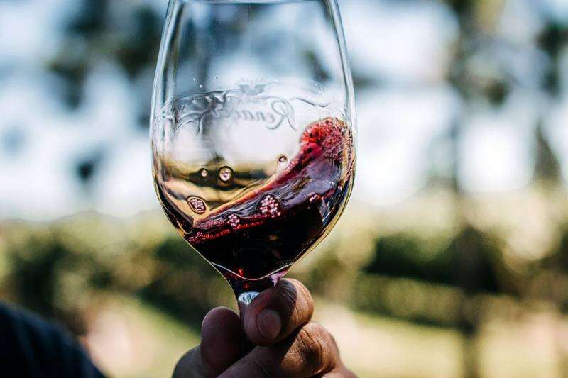 The Marselan Grape in Argentina - Jamaica Observer