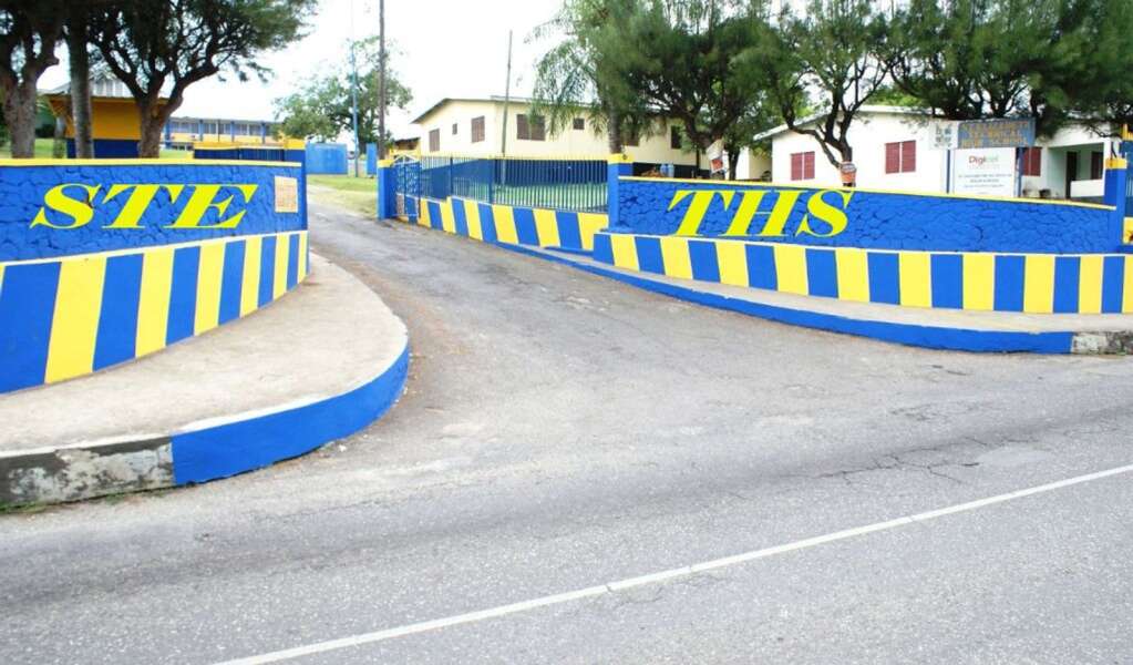 STETHS Class of ’83 to award scholarships to students - Jamaica Observer