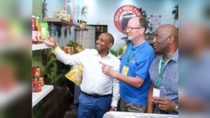 Derrimon Group debuts at Expo Jamaica with expanded range, innovation ...