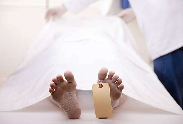 JLP and PNP point fingers at each other over under-regulation of ...