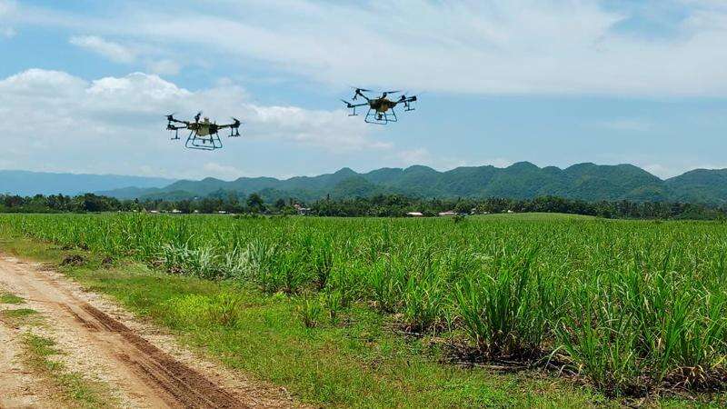 Farming made smart - Jamaica Observer