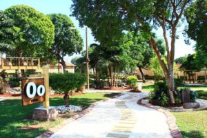 Bellevue to transition into two facilities - Jamaica Observer