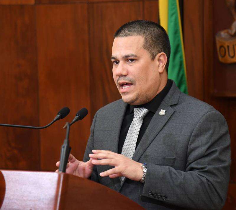 Ban on plastic lunch boxes to take effect year end - Jamaica Observer