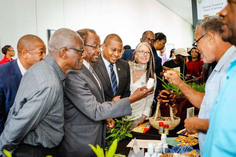 Jamaica to see US multimillion-dollar earnings from spice exports ...