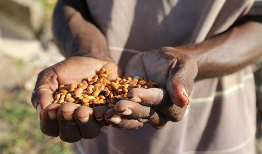 New report examines failure to eradicate hunger and malnutrition in LAC ...