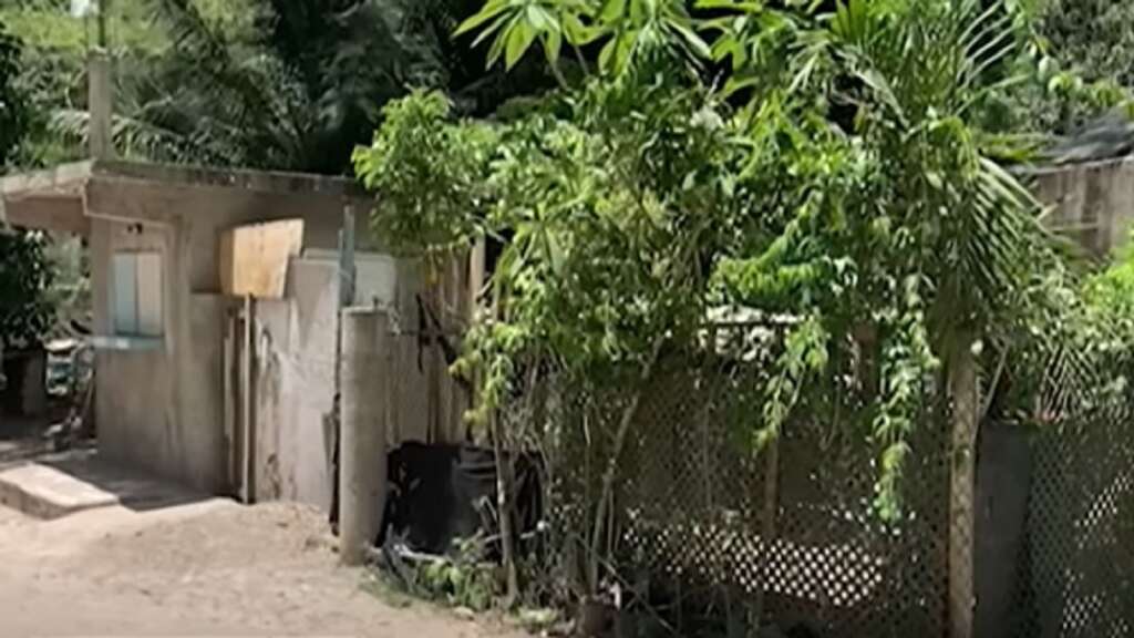 Gov’t says it's addressing growing squatter settlement in Norbrook ...