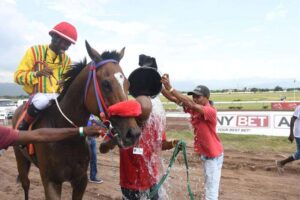 Poverty led me to horse racing — trainer Lesra Thompson - Jamaica Observer