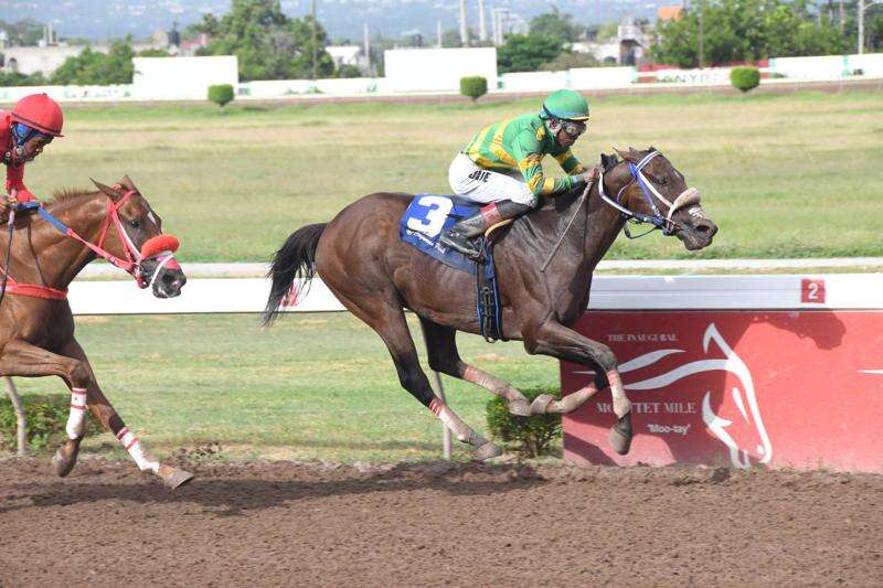 Race Day Review — Saturday, June 24, 2023 - Jamaica Observer