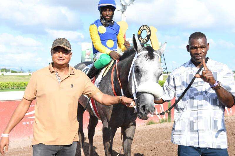 Racing Snaps – 2023 Jamaica 2000 Guineas - Jamaica Observer