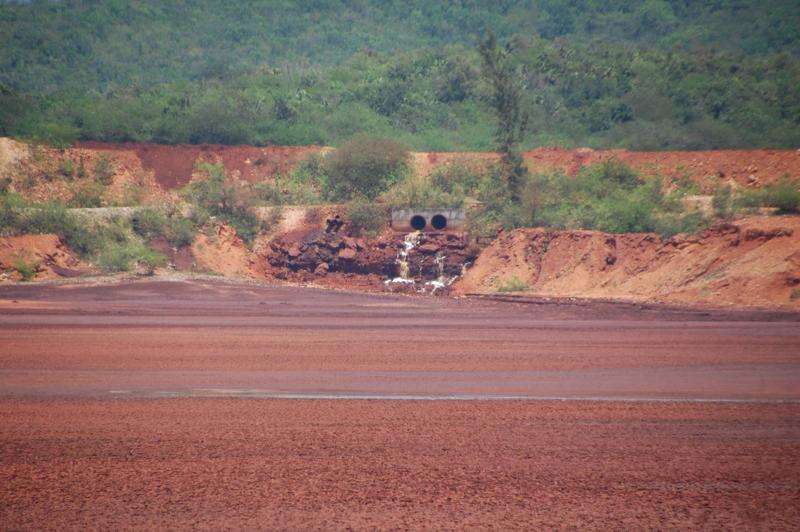 Danger averted! - Jamaica Observer