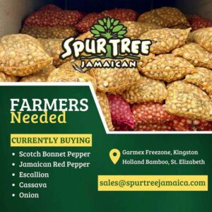 Spur Tree Spices needs more farmers - Jamaica Observer