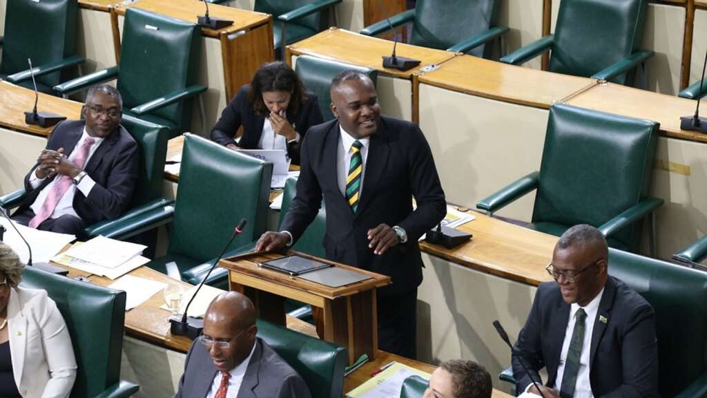 Fitz-Henley bullish on economy, says Gov’t will do more for Jamaicans - Jamaica Observer
