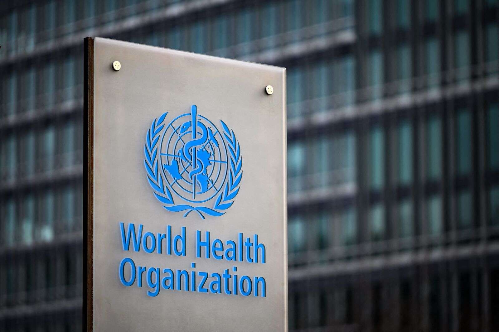 Departing US still owes money, says WHO chief - Jamaica Observer