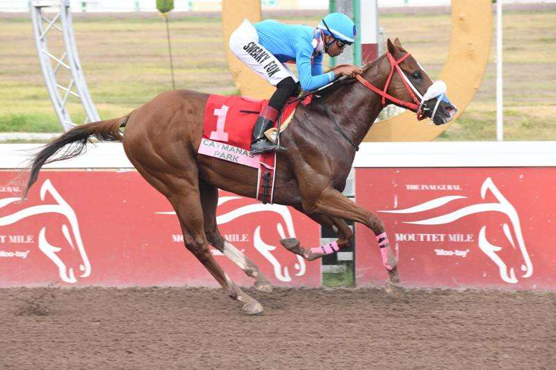 Runaway Algo true to form in Eros Trophy feature - Jamaica Observer