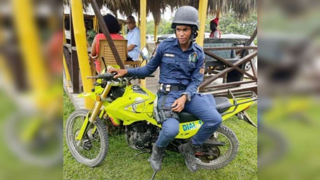 Cop dies after crashing into cow in Westmoreland - Jamaica Observer