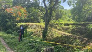 WATCH: Torso believed to be that of accused rapist found in Clarendon ...