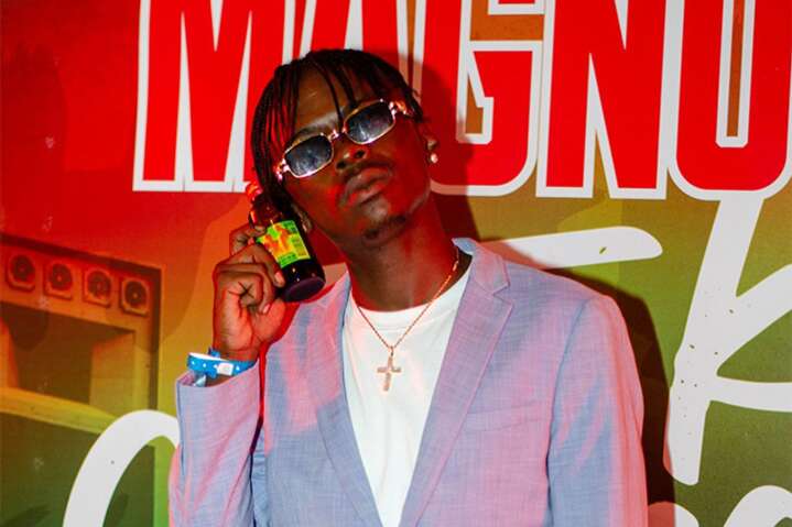 Magnum Top Performa Jubba reaps Sumfest success - Jamaica Observer