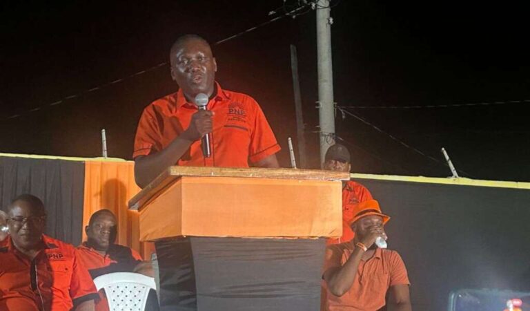 Peterkin to represent PNP in St Andrew East Rural constituency ...