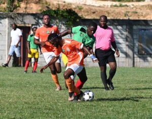 Lime Hall, Treasure Beach on verge - Jamaica Observer