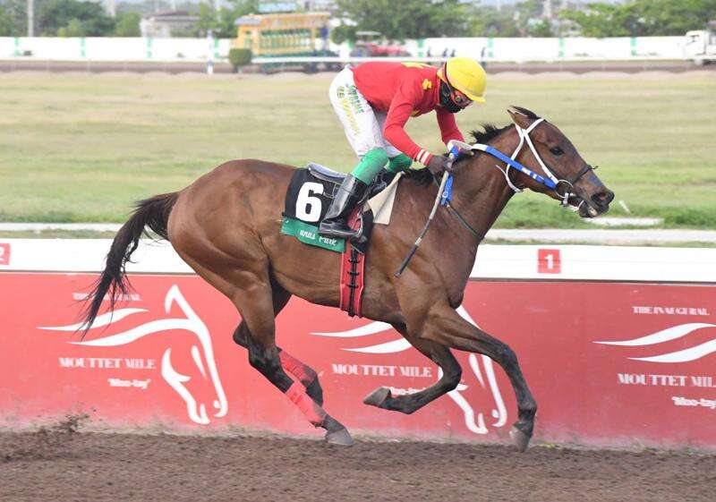 Always easy for God of Love in Overnight Allowance - Jamaica Observer