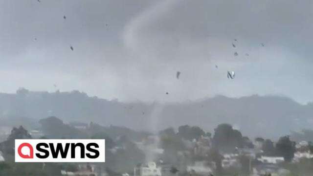 Small tornado hits northwestern Puerto Rico, downing trees and power lines - Jamaica Observer