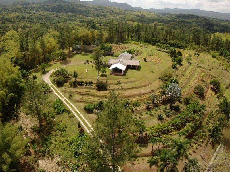 Cultivating Sustainability at Croydon Estate - Jamaica Observer