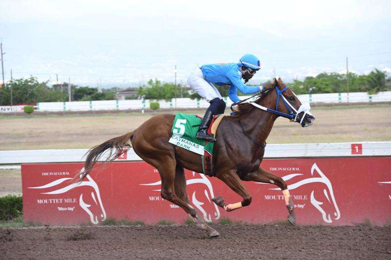 The 'Algo' Is now running away - Jamaica Observer