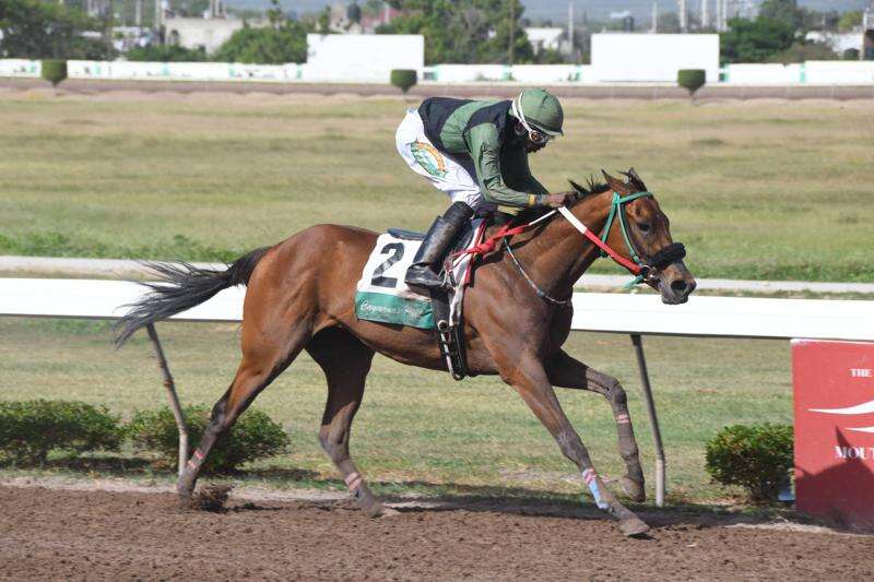 Jamaica St Leger Race Day Review — Saturday, July 1, 2023 - Jamaica ...