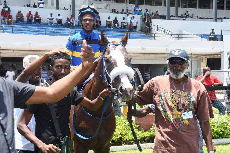 Trainer Donwell Dawes continues long family tradition - Jamaica Observer