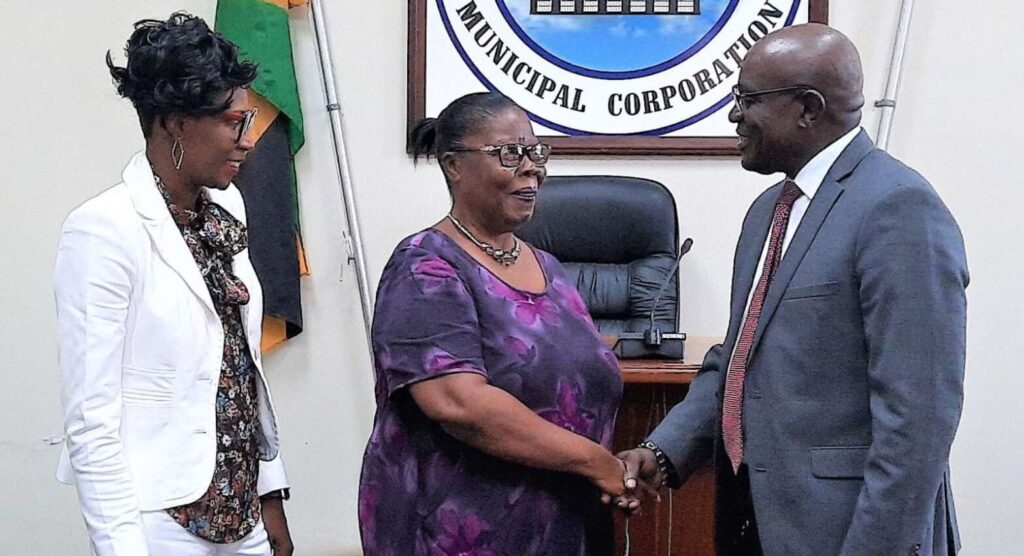 Hanover parish development committee gets new president - Jamaica Observer