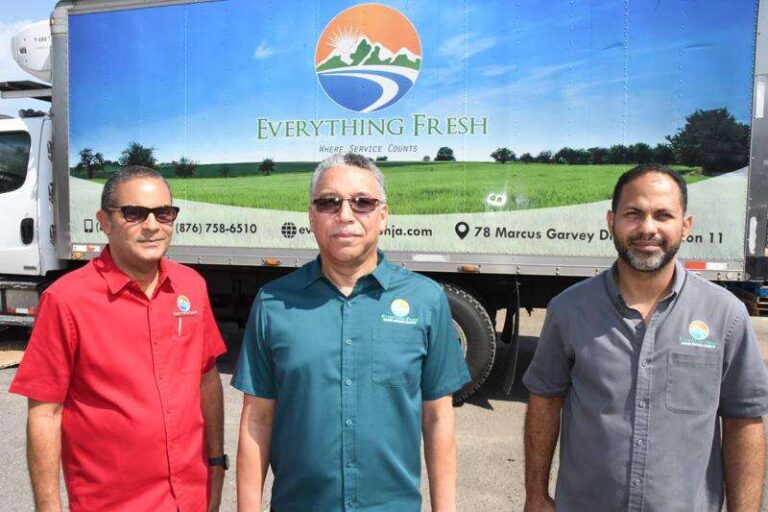 The Everything Fresh story - Jamaica Observer