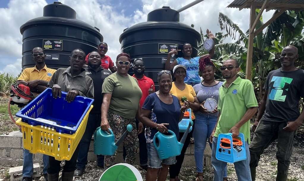 BCIC donates $1m to Mango Valley Papaya Project with Food for the Poor ...