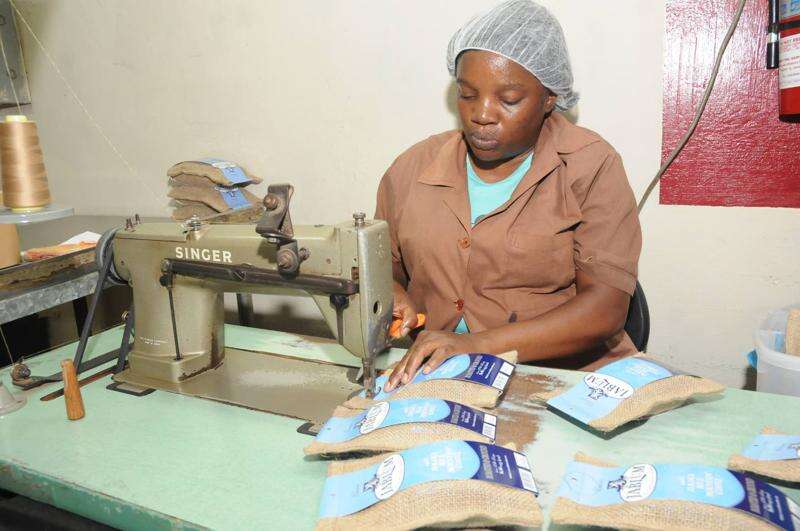 100 years of Mavis Bank Coffee Factory - Jamaica Observer