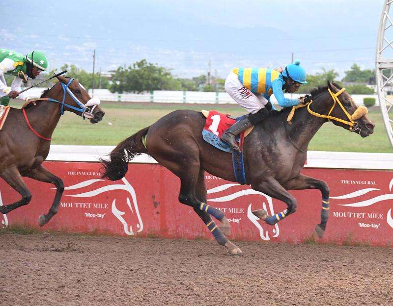 Stomp The Rhythm waltzes to victory at Caymanas Park - Jamaica Observer