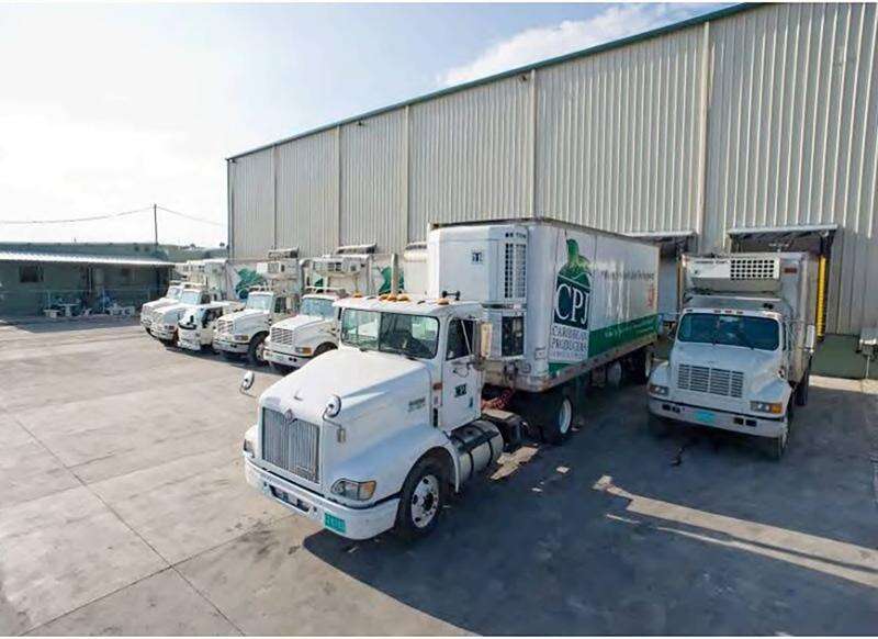 Luxury & style – The CPJ Story - Jamaica Observer