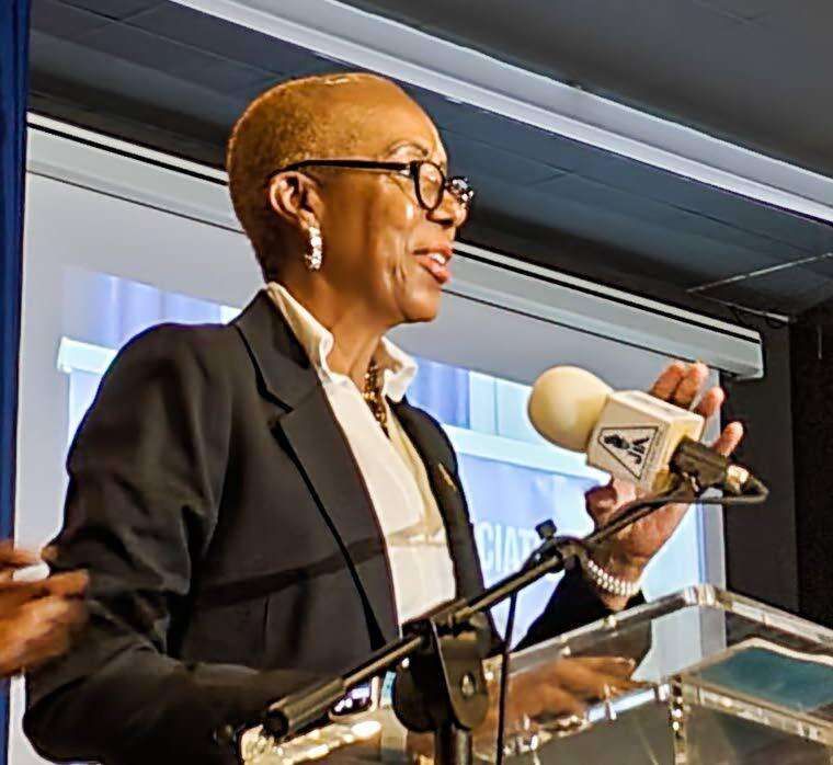 Steps in the right direction, Minister Williams - Jamaica Observer