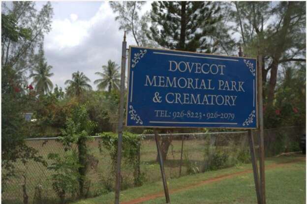Dovecot implements measures to combat safety concerns amid harassment ...