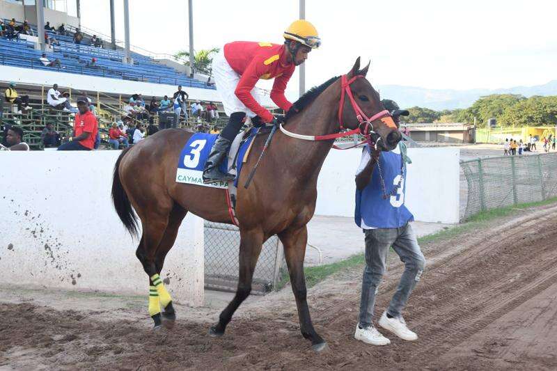 God of Love, Yellowstone battle for supremacy in BLGC Trophy - Jamaica ...