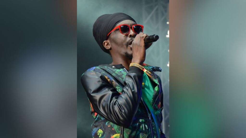 Shaggy, Rayvon, DJ Cassidy top the New York Reggae chart - Jamaica Observer