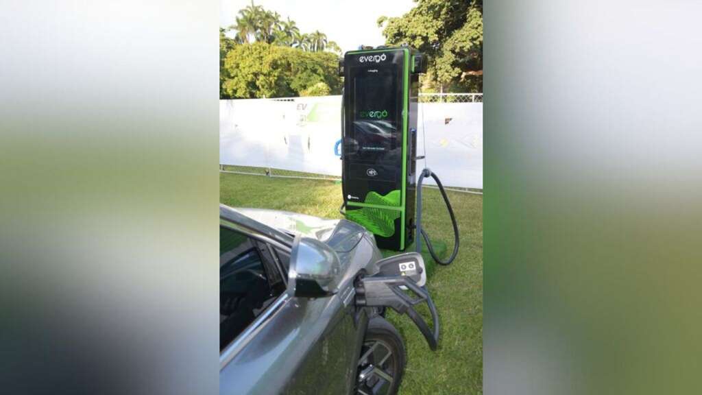 Evergo home bound - Jamaica Observer