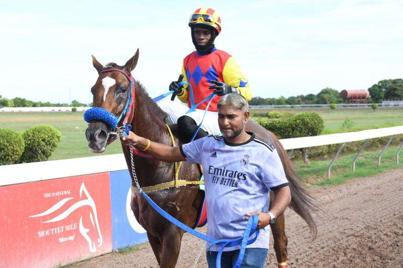 I want to be that type of trainer that my dad was — Howard Jaghai ...