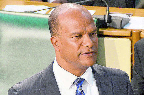 Opposition Senators object to massive stipend increase - Jamaica Observer