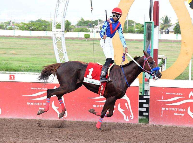 Essential Quilty impressive in Winston 'Fanna' Griffiths OD Classic ...