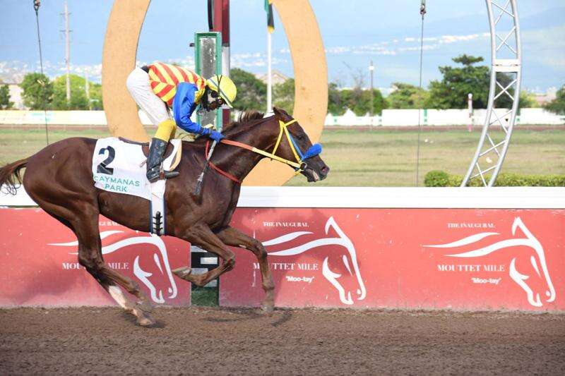 Blue Vinyl streaks away in Caymanas Park feature - Jamaica Observer