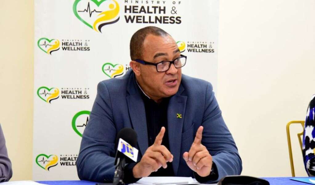 Health ministry to intensify efforts to prevent dengue outbreak, says ...